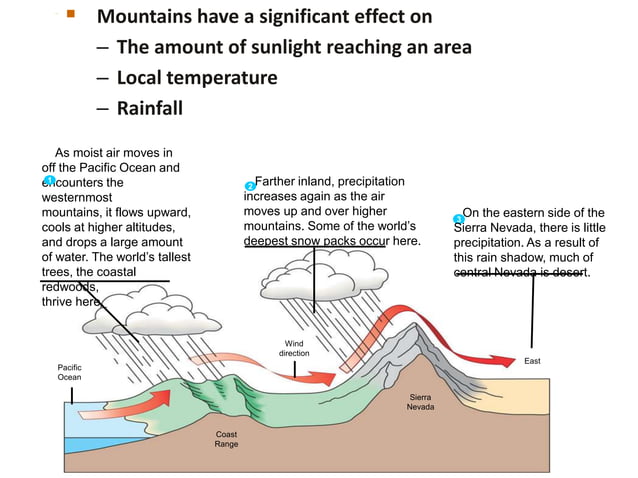 Biology Form 4 Chapter 8 :Dynamic Ecosystem Part 1