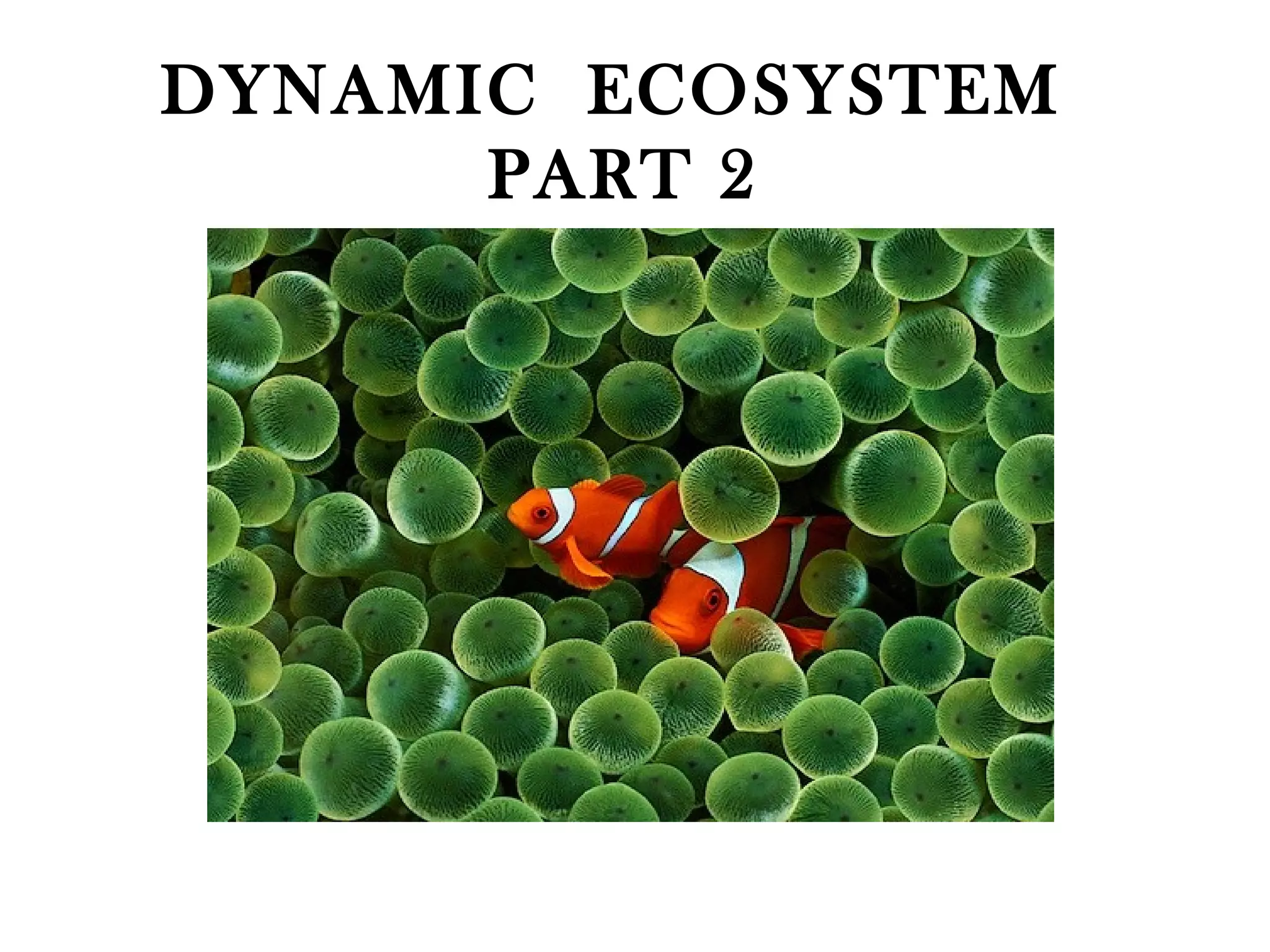 Biology Form 4 Chapter 8 :Dynamic Ecosystem Part 2 | PPT