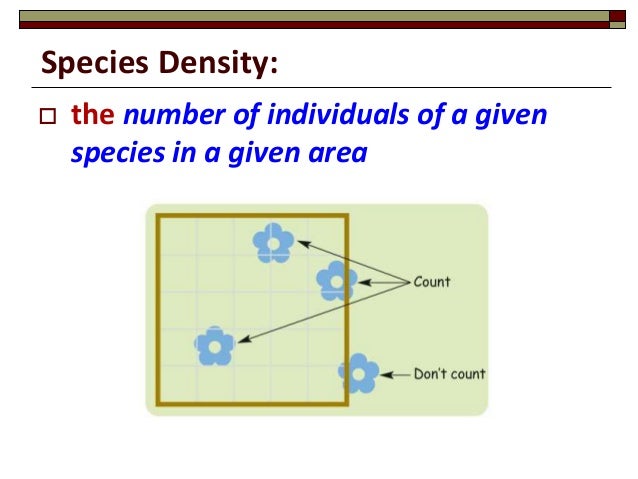 BIOLOGY FORM 4 CHAPTER 8 - DYNAMIC ECOSYSTEM PART 3