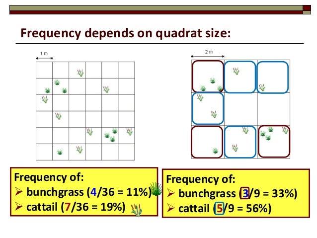 BIOLOGY FORM 4 CHAPTER 8 - DYNAMIC ECOSYSTEM PART 3