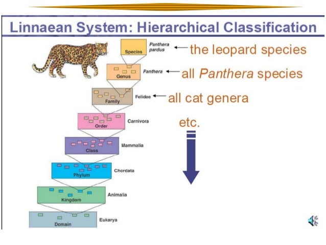 BIOLOGY FORM 4 CHAPTER 8 - DYNAMIC ECOSYSTEM PART 3