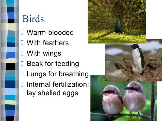 BIOLOGY FORM 4 CHAPTER 8 - DYNAMIC ECOSYSTEM PART 4