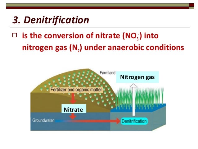 BIOLOGY FORM 4 CHAPTER 8 - DYNAMIC ECOSYSTEM PART 5 BIOLOGY FORM 4 CHAPTER 8 - DYNAMIC ECOSYSTEM PART 5