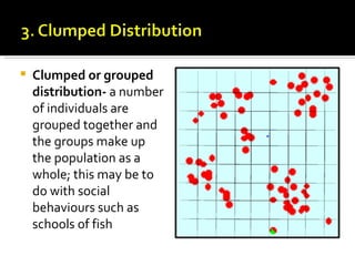Dynamic ecosystems - Population Sampling | PPT