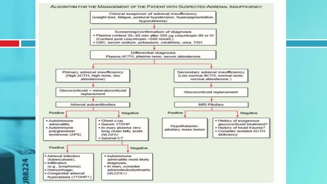 Dynamic endocrine tests | PPTX