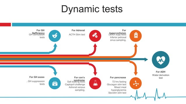 Dynamic endocrine tests | PPTX