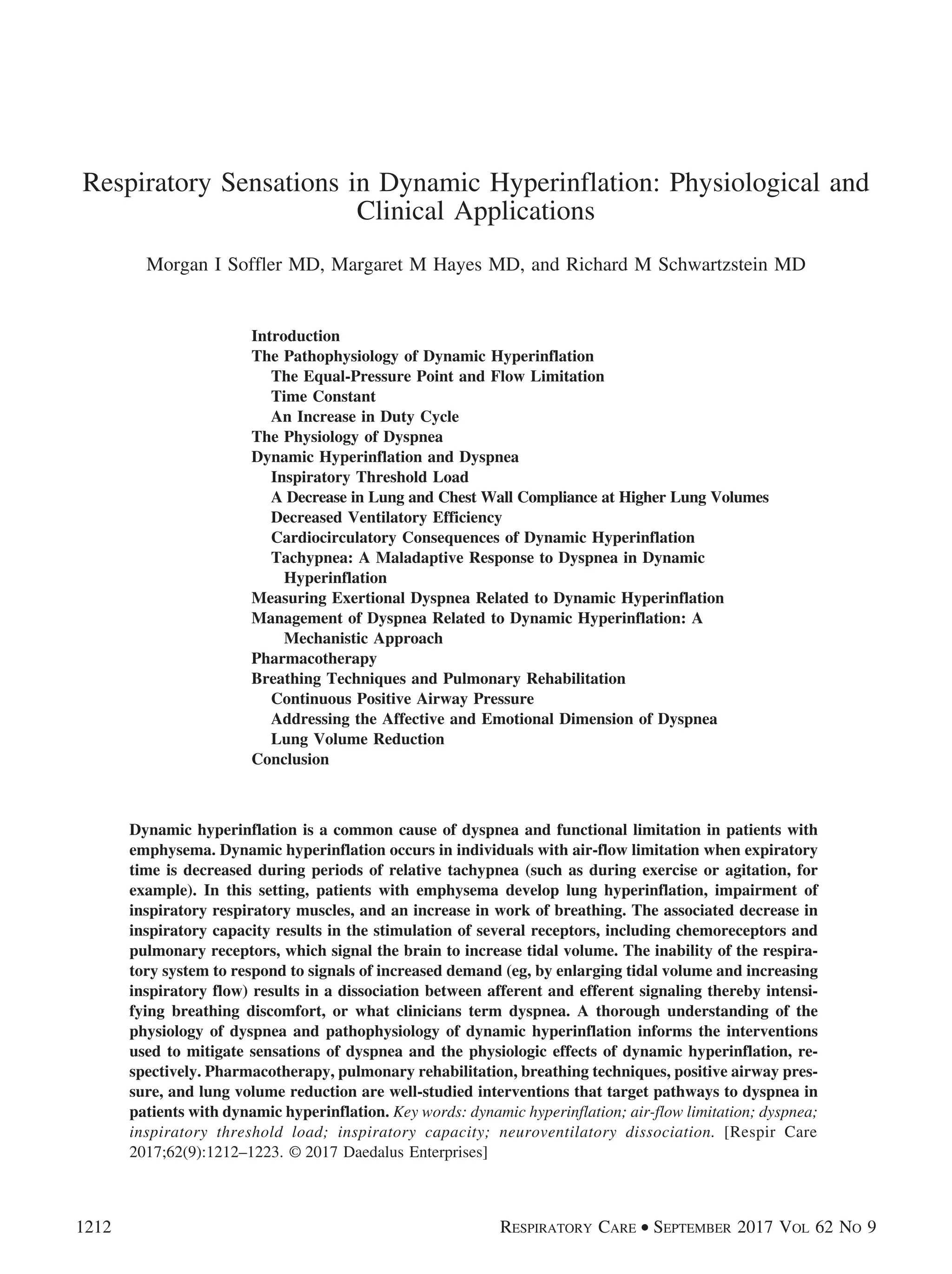 dynamic hyperinflation.pdf