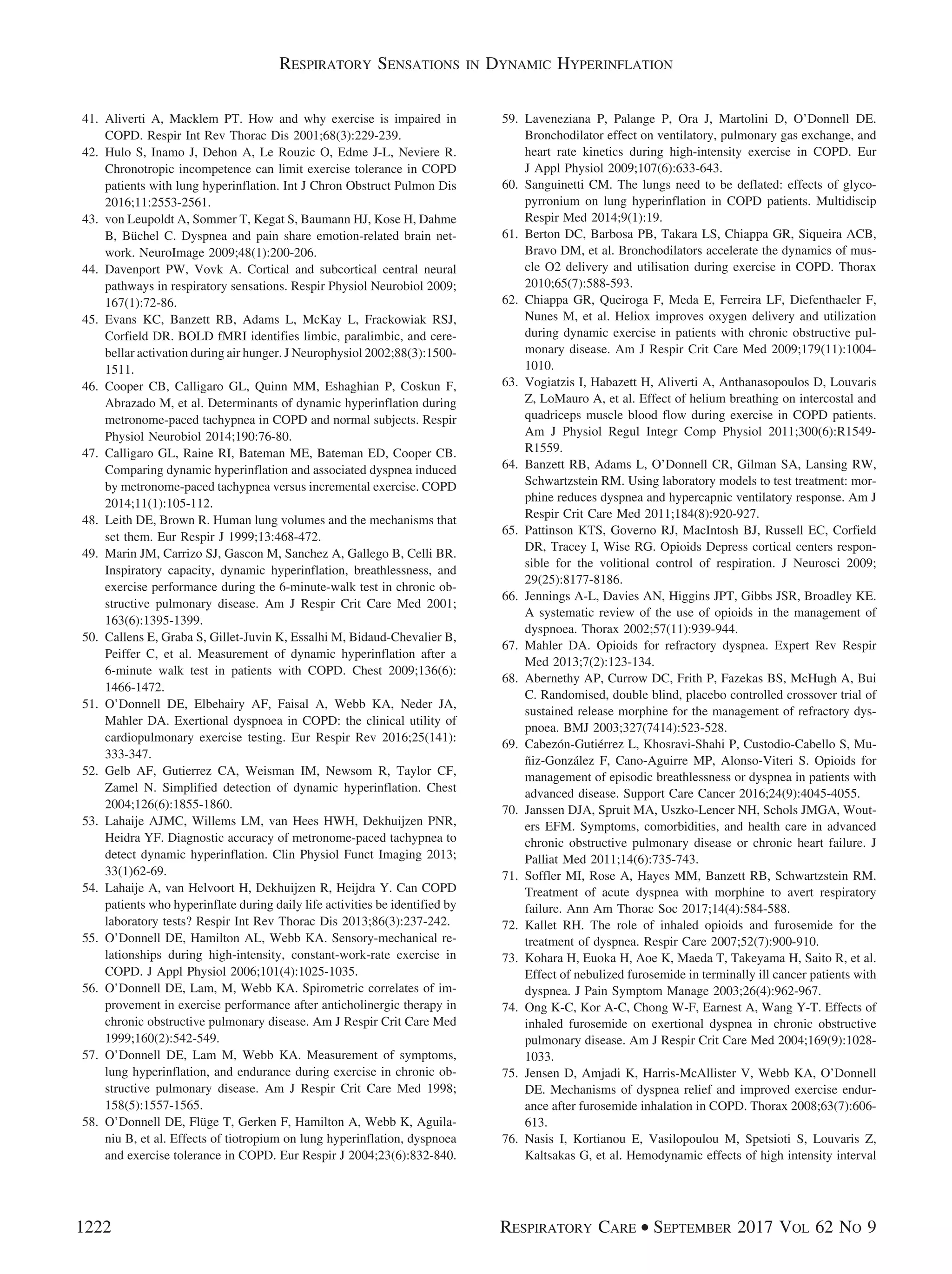 dynamic hyperinflation.pdf