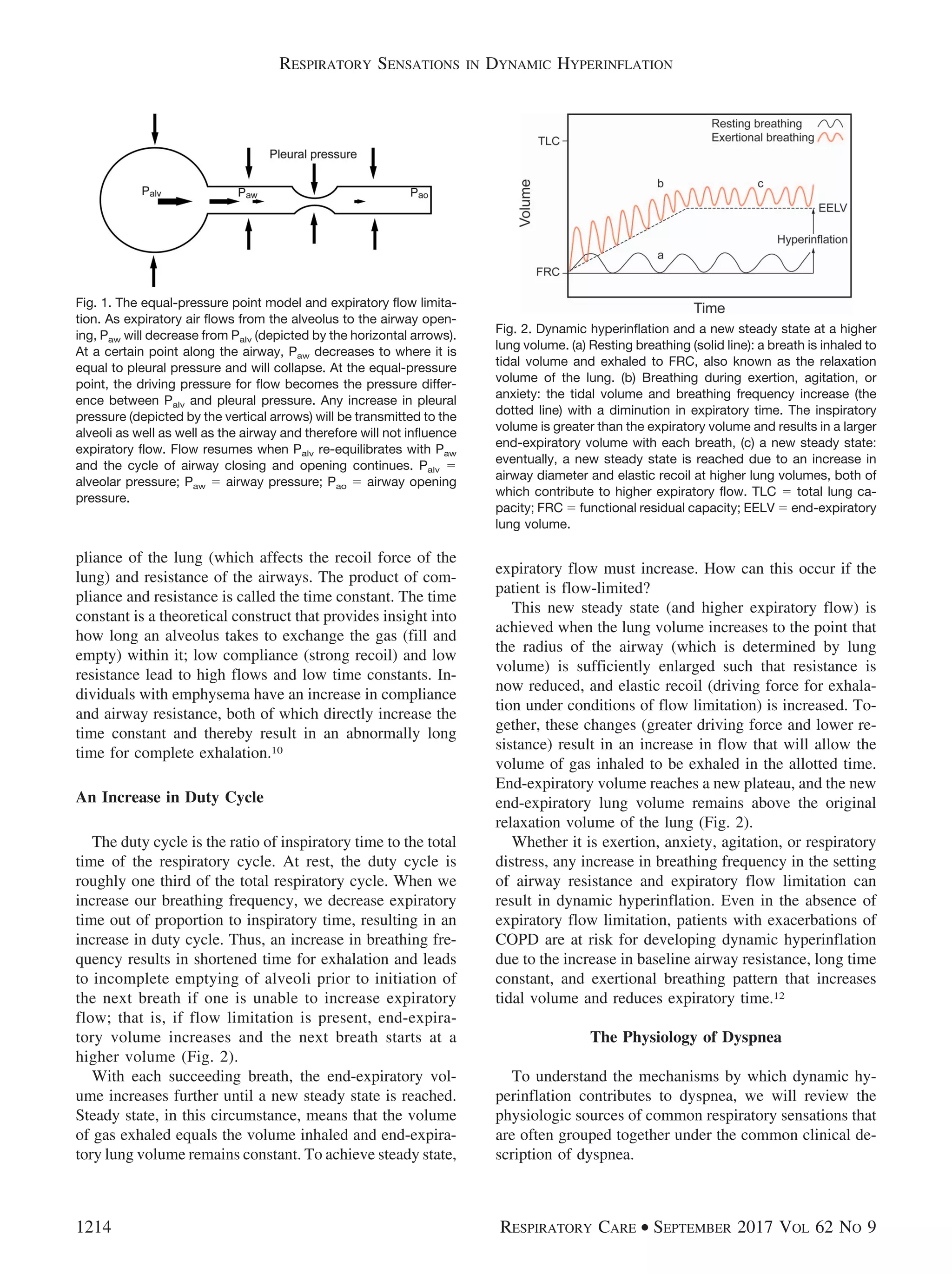 dynamic hyperinflation.pdf