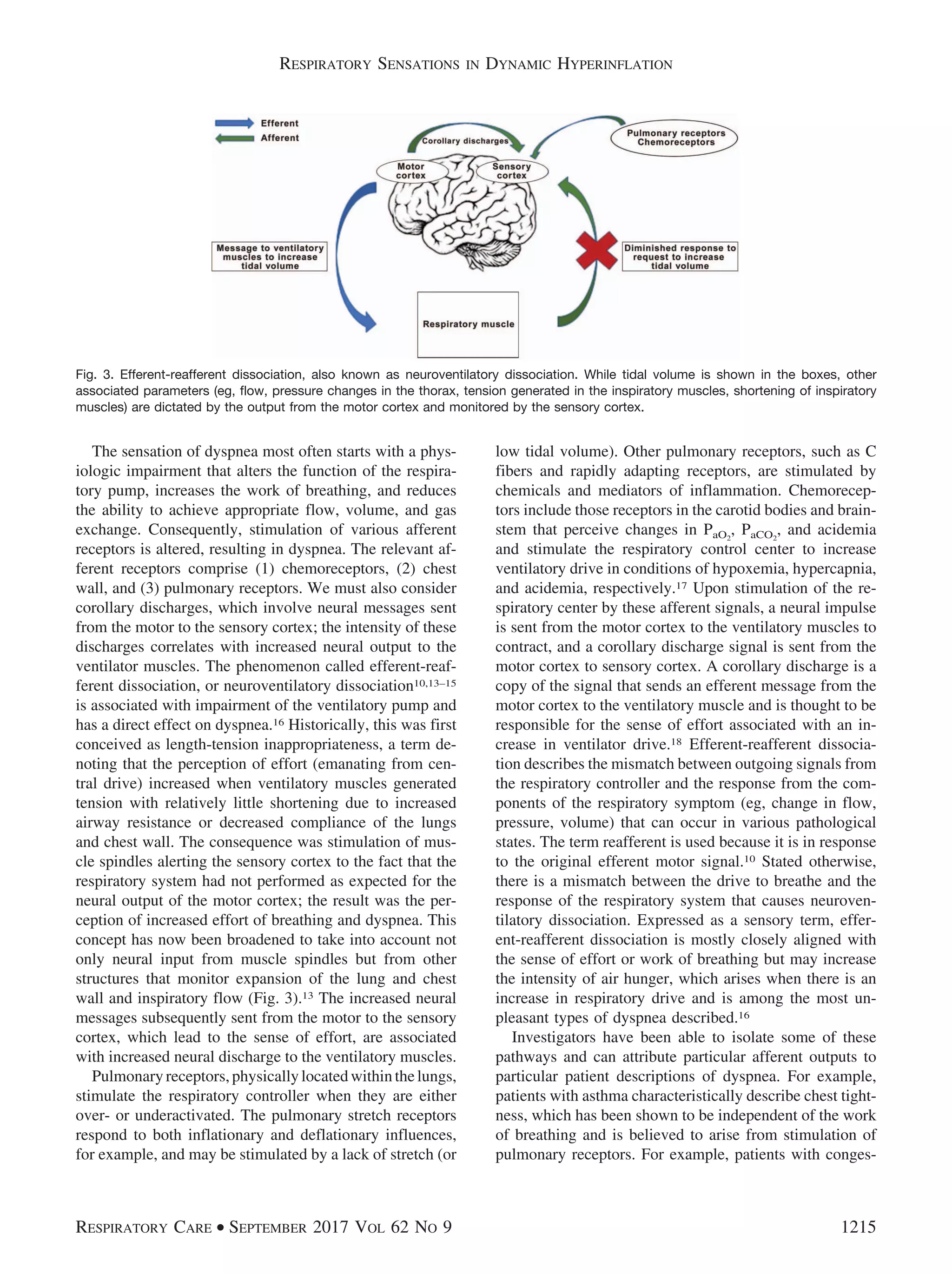 dynamic hyperinflation.pdf