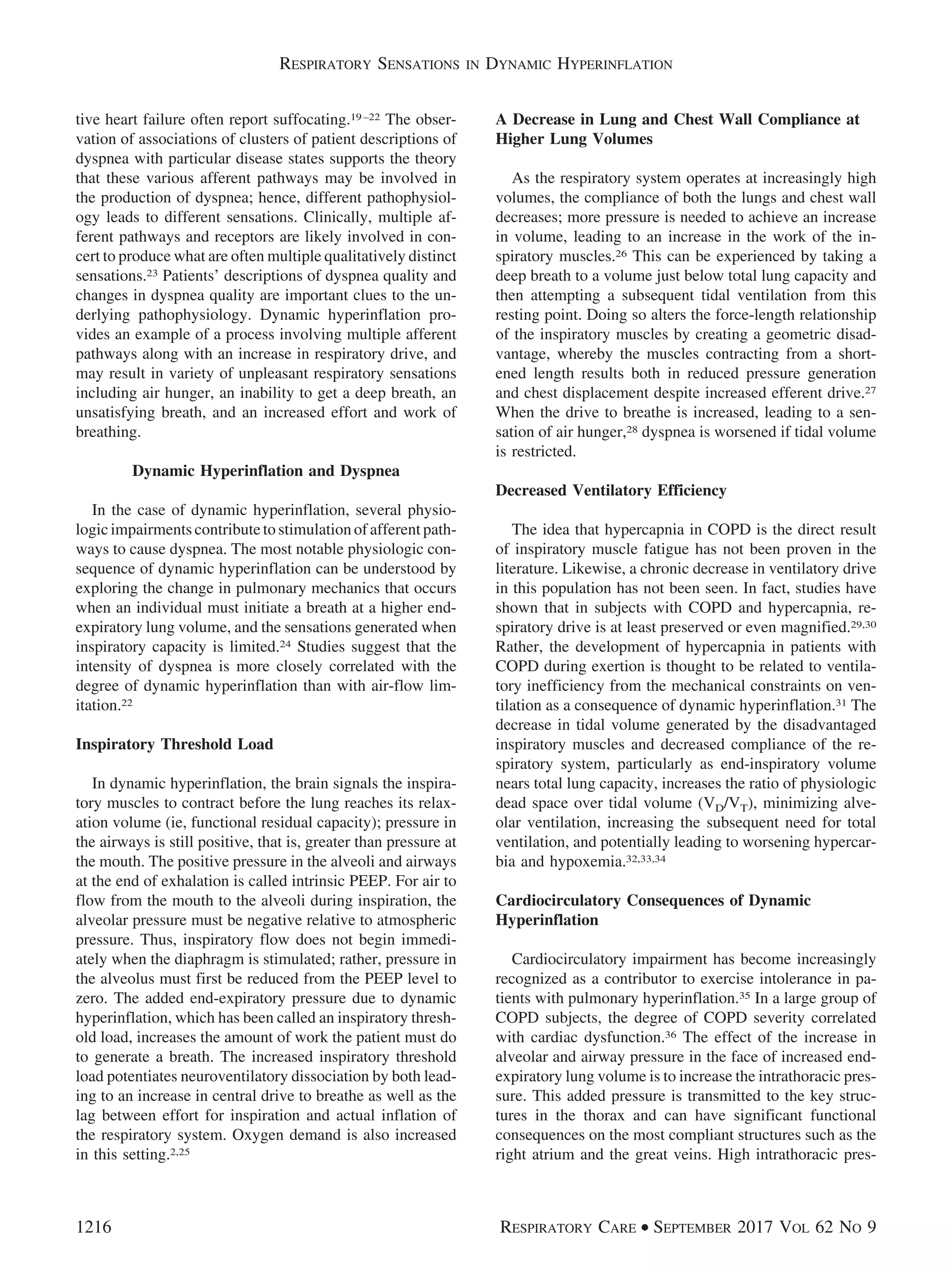 dynamic hyperinflation.pdf