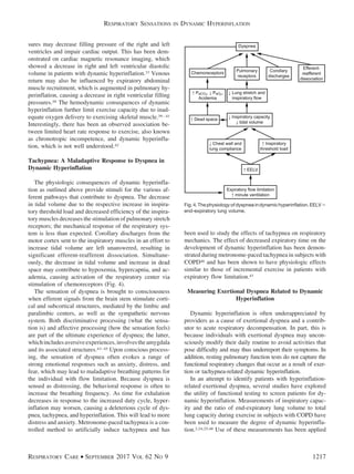 dynamic hyperinflation.pdf