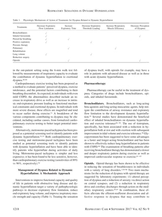 dynamic hyperinflation.pdf