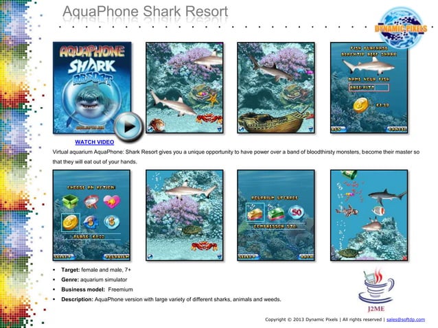 Dynamic pixels line up 2013 | PPT | Free Download