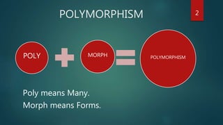 Dynamic Polymorphism in C++ | PPTX
