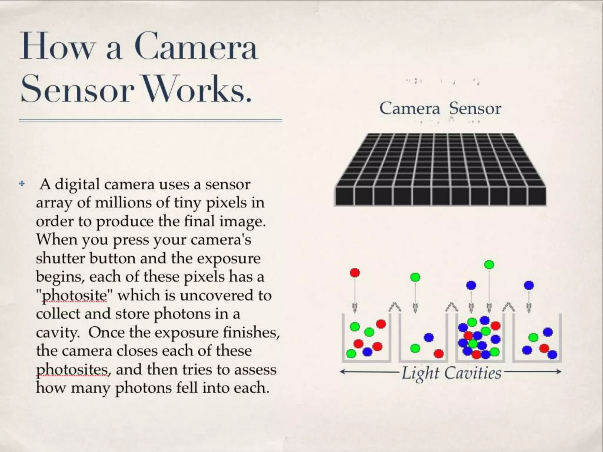 Dynamic Range Presentation By Aakash Rodrigues | PPTX
