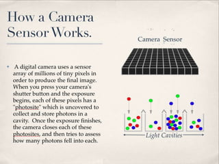 Dynamic Range Presentation By Aakash Rodrigues | PPTX