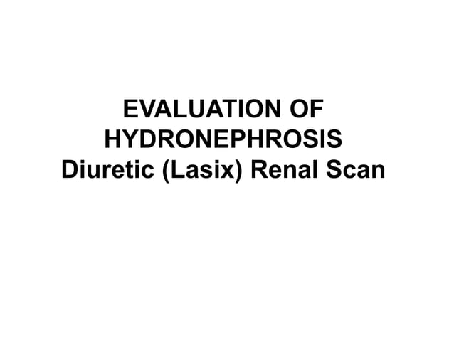 Dynamic Renal scan lecture (2.pdf