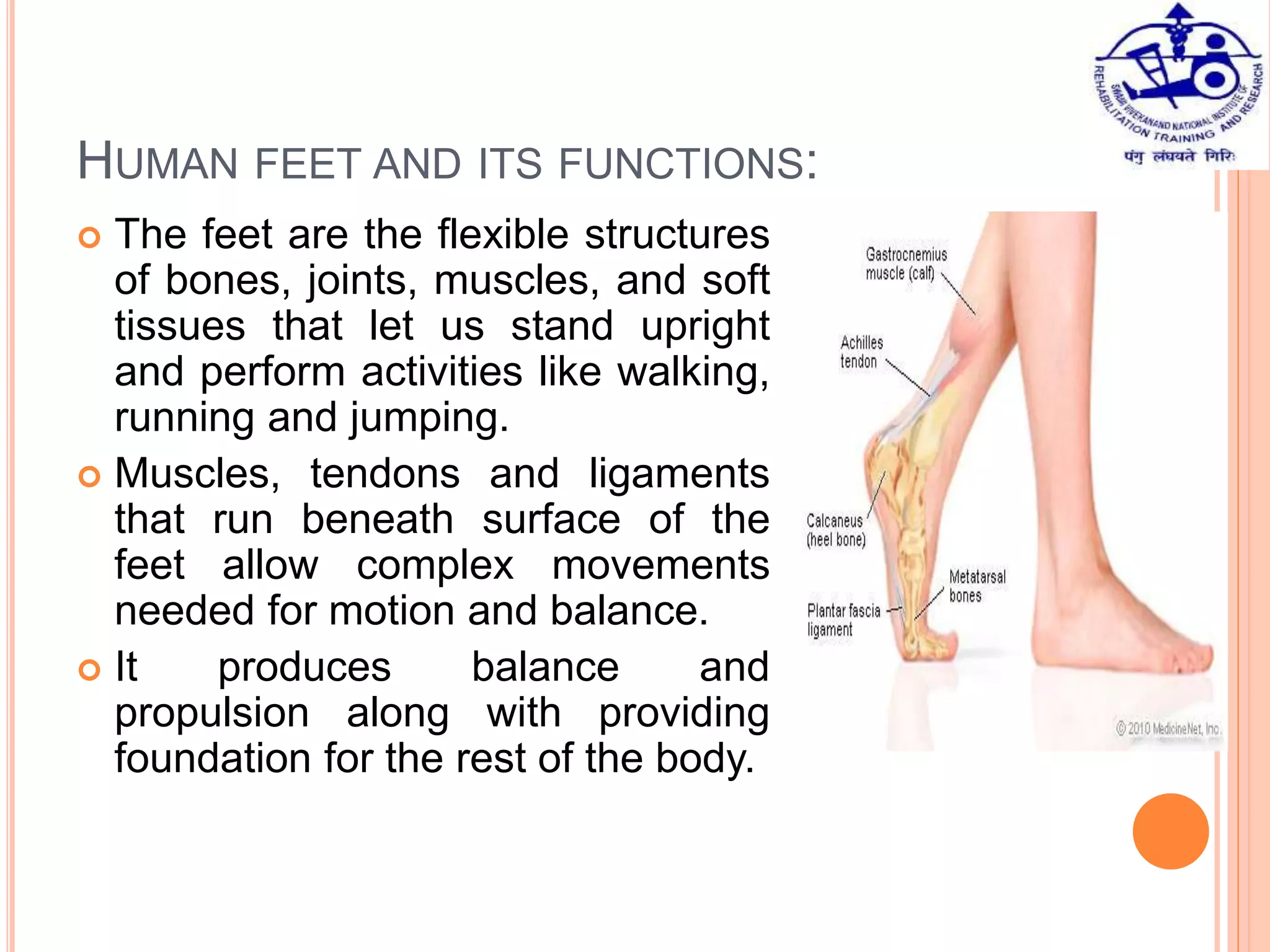 Dynamic response foot | PPTX