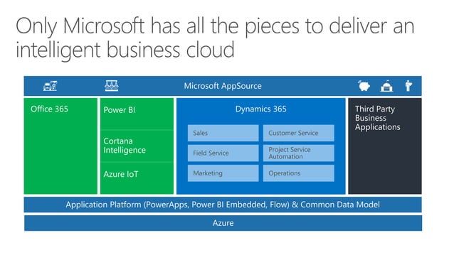 Microsoft Dynamics 365 | PDF | Computer Software and Applications | Computing