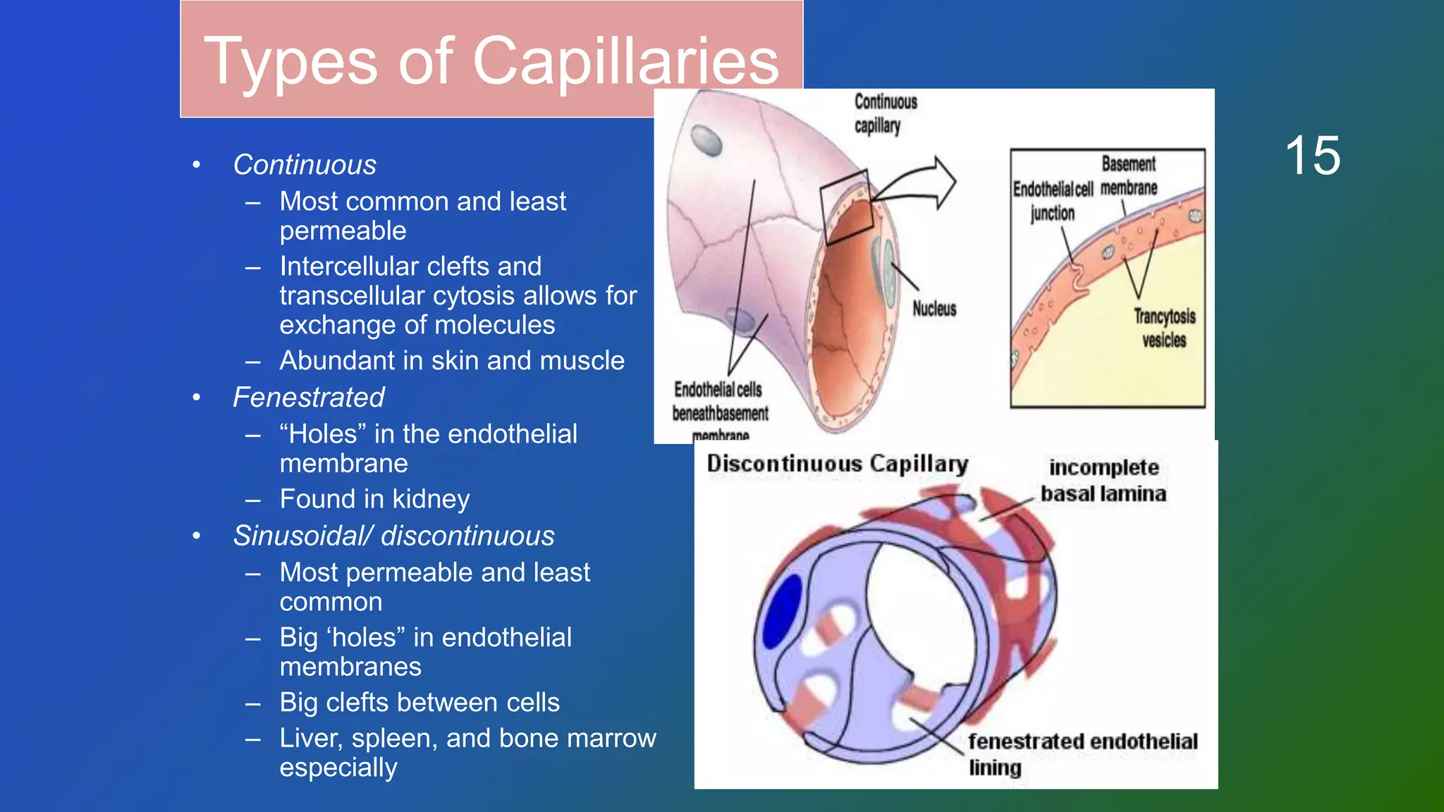 Dynamics of blood and lymph flow seminar 1pptx | PPTX