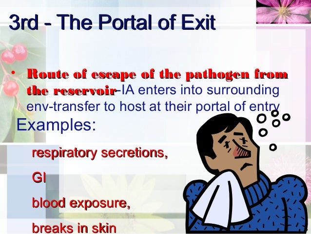 Dynamics of disease transmission
