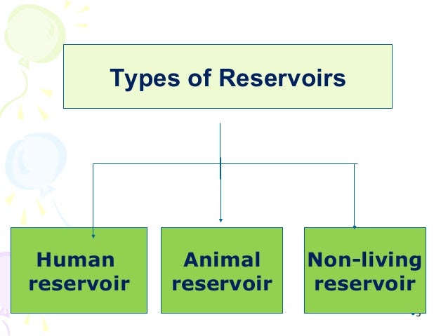 Dynamics of disease transmission