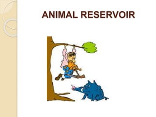 Dynamics of disease transmission | PPTX