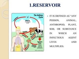 Dynamics of disease transmission | PPTX