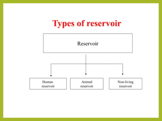dynamicsofdiseasetransmission.pptx.................... | PPTX