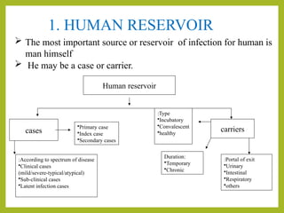 dynamicsofdiseasetransmission.pptx.................... | PPTX