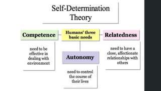 Dynamics of Motivation.pptx