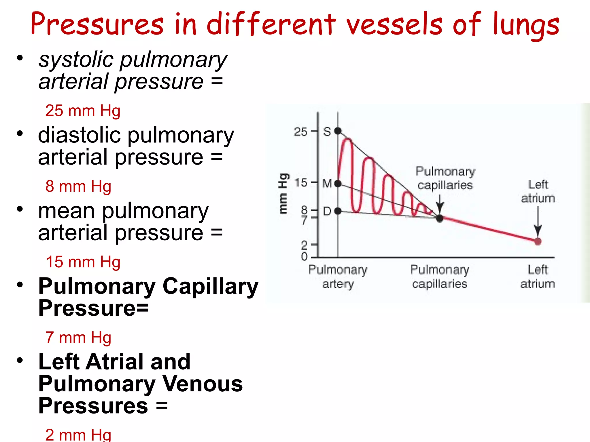 Dynamics of pulmonary circulation. pulmonary edema | PPT