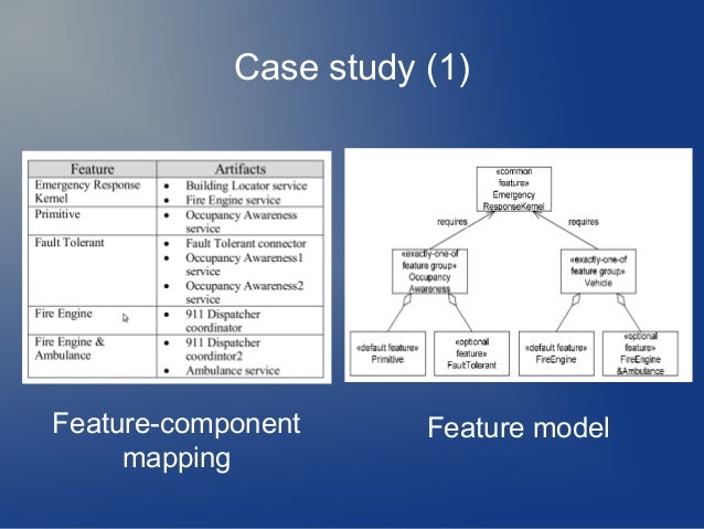 Dynamic Software Adaptation For Service Oriented Product Lines
