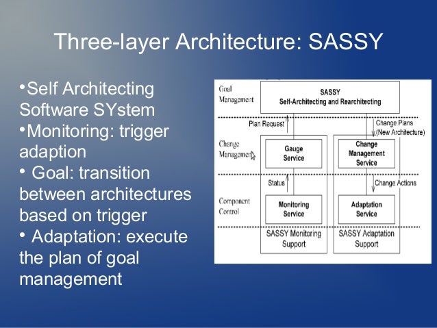 Dynamic Software Adaptation For Service Oriented Product Lines