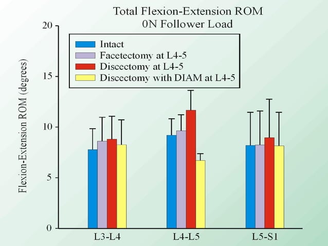 Dynamic stabilization | PPT