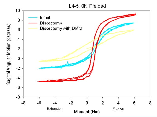 Dynamic stabilization | PPT