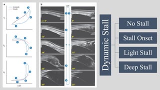 Dynamic Stall in Rotary wing Aircraft and Helicopters | PPT