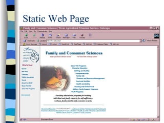 Dynamic Web | PPT