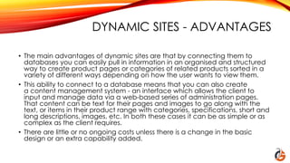 Dynamic Website | PDF