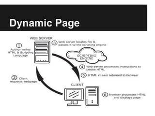 Dynamic websites lec5 | PPT