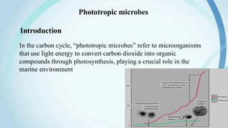 Dynamics of Marine Microbes explores changes in marine microbial ...