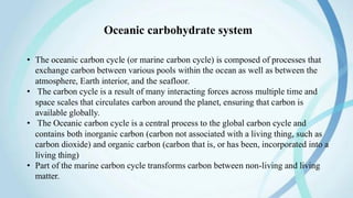 Dynamics of Marine Microbes explores changes in marine microbial ...