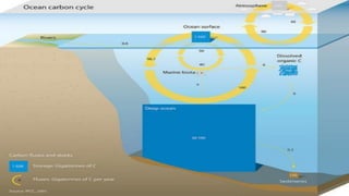 Dynamics of Marine Microbes explores changes in marine microbial ...
