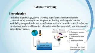 Dynamics of Marine Microbes explores changes in marine microbial ...