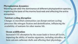 Dynamics of Marine Microbes explores changes in marine microbial ...