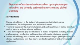 Dynamics of Marine Microbes explores changes in marine microbial ...