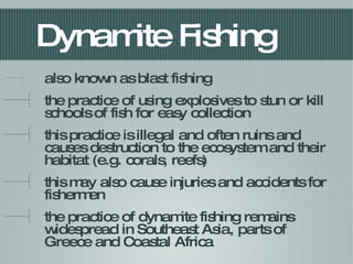 Stop Dynamite Fishing