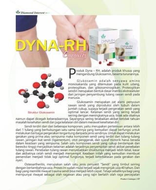 DYNA RH | PDF