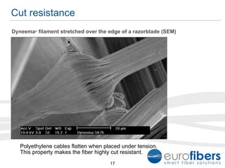 Dyneema, the world's strongest fiber | PDF